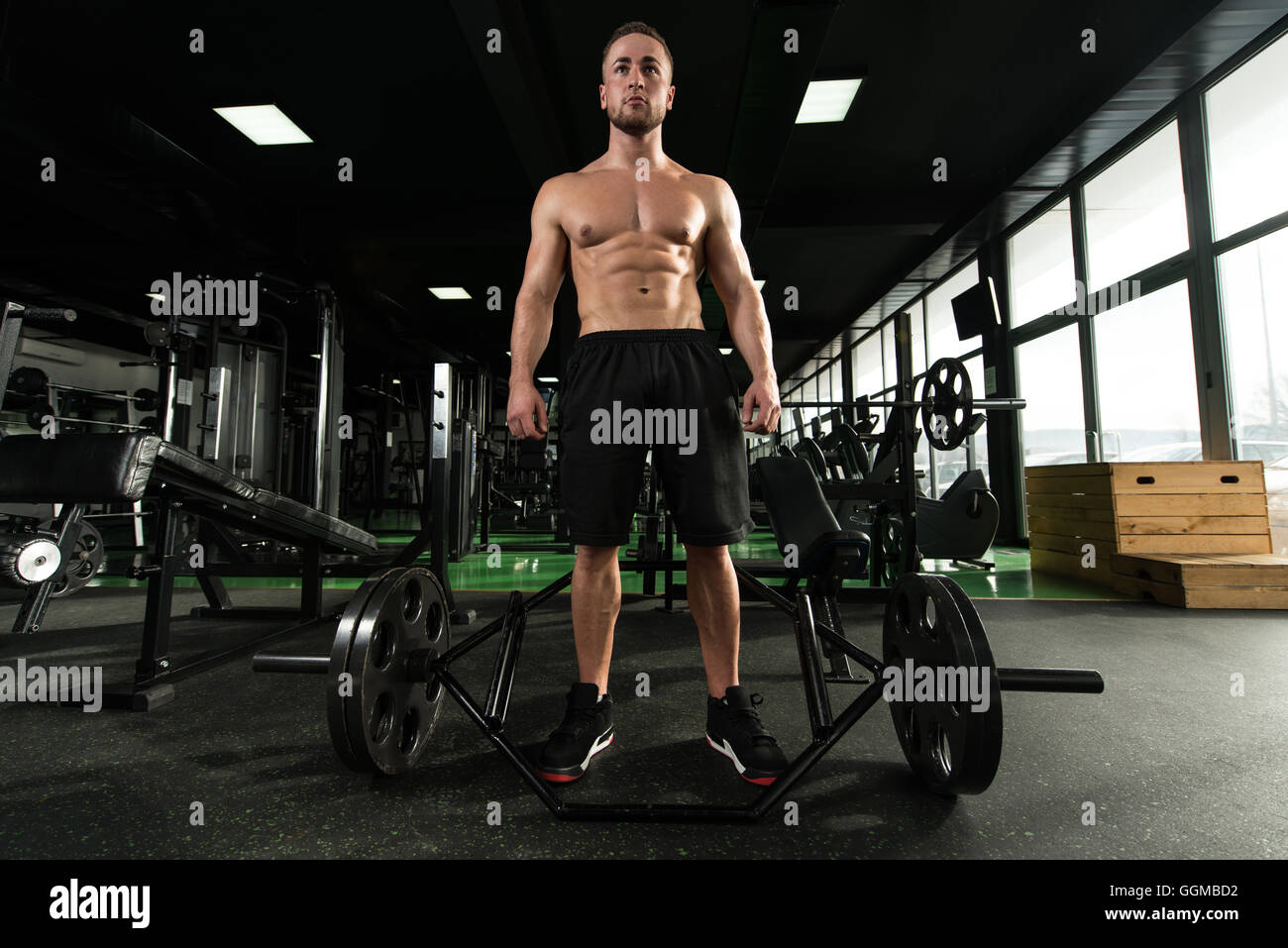 Bodybuilder Posing In Different Poses Demonstrating Their Muscles ...