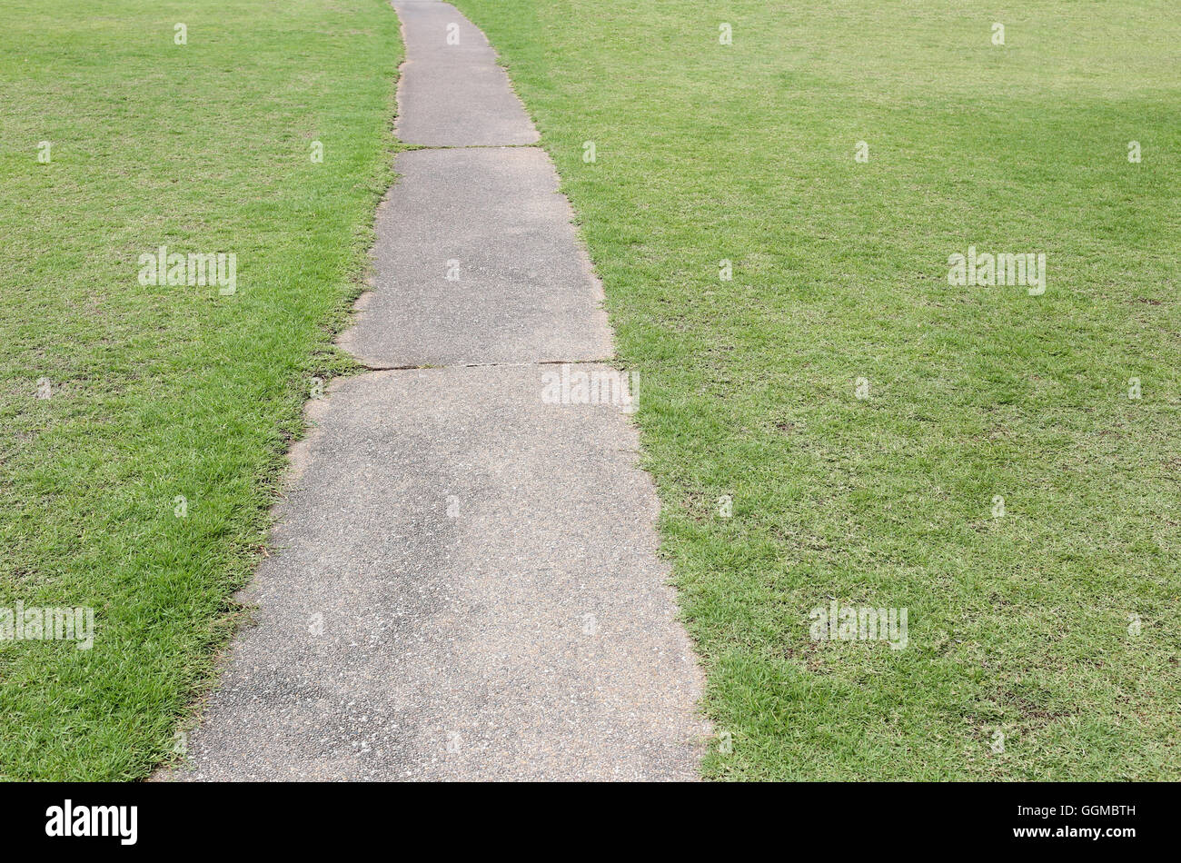 A passage in the backyard with green grass for garden design ideas ...