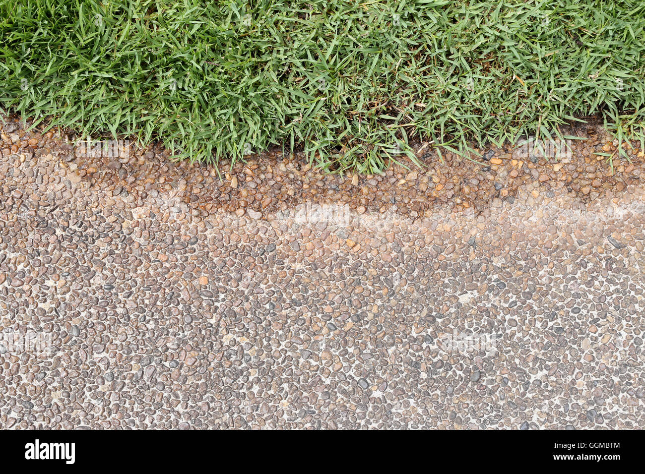 A passage in the backyard with green grass for garden design ideas ...