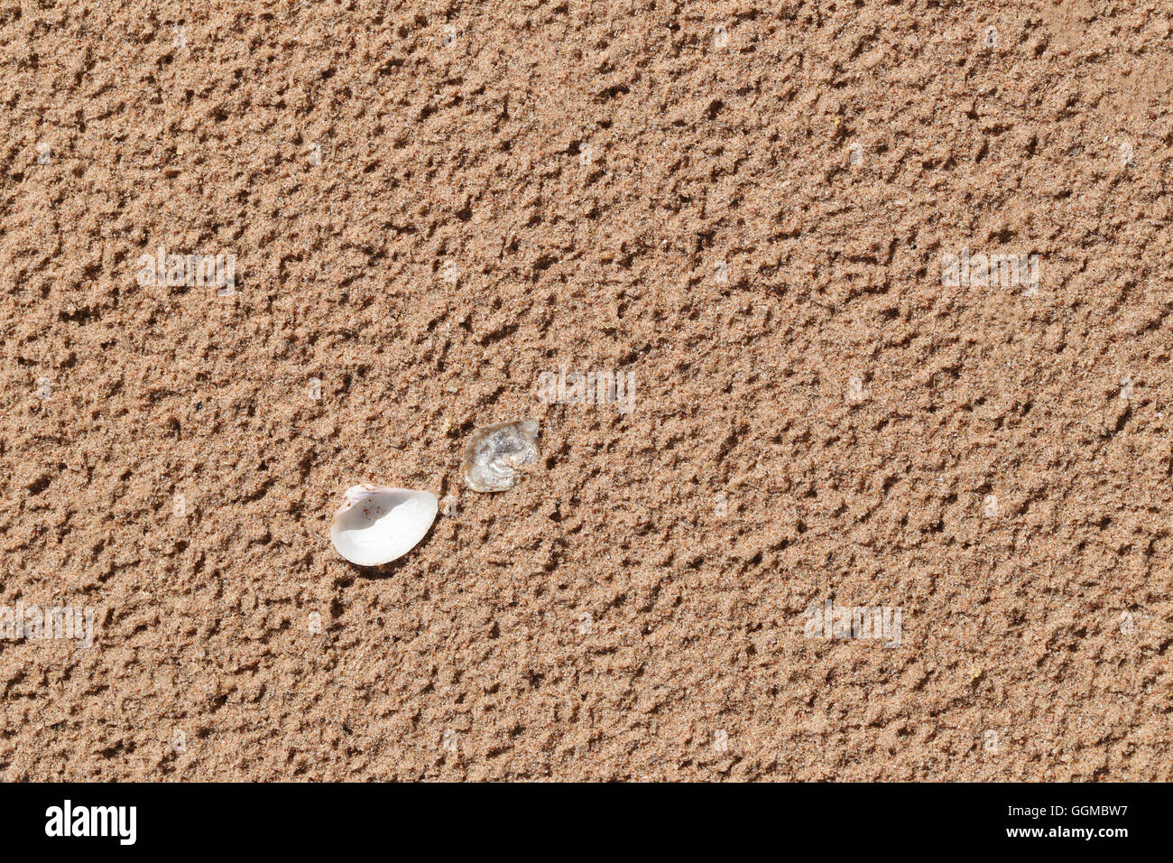 brown surface of sand texture for the nature design background Stock ...