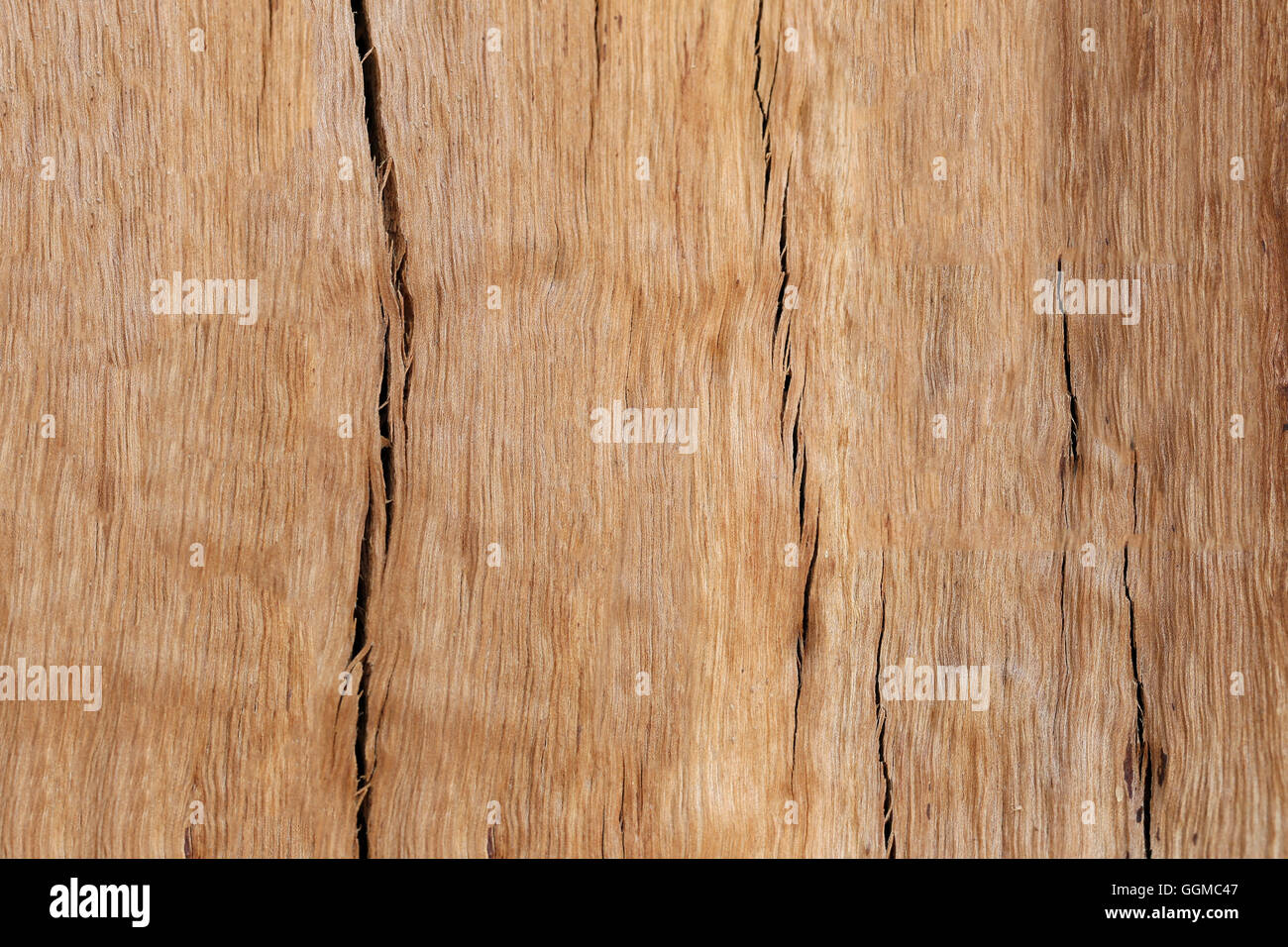 Old wood texture for the design background Stock Photo - Alamy
