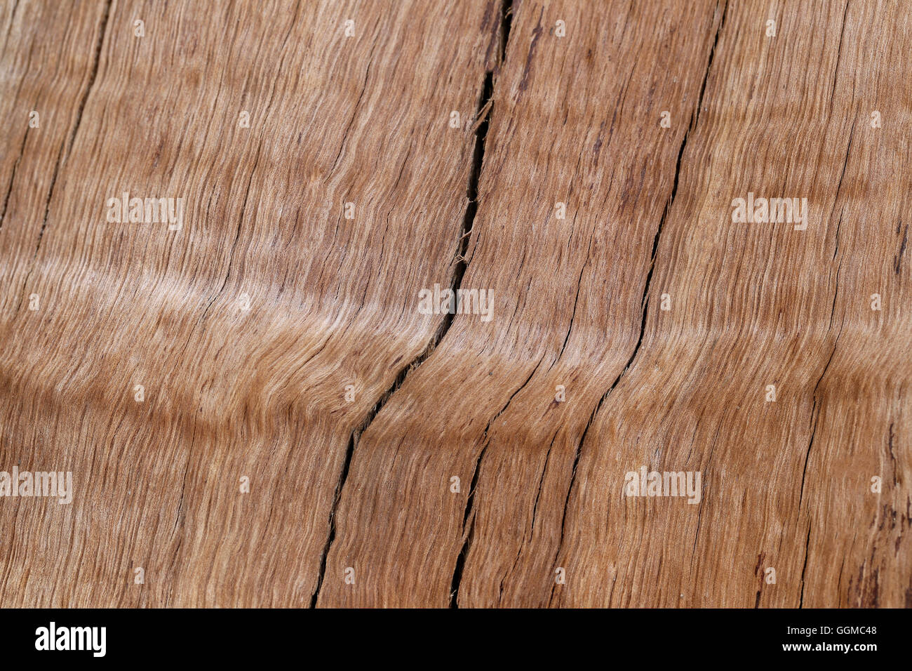 Old wood texture for the design background Stock Photo - Alamy
