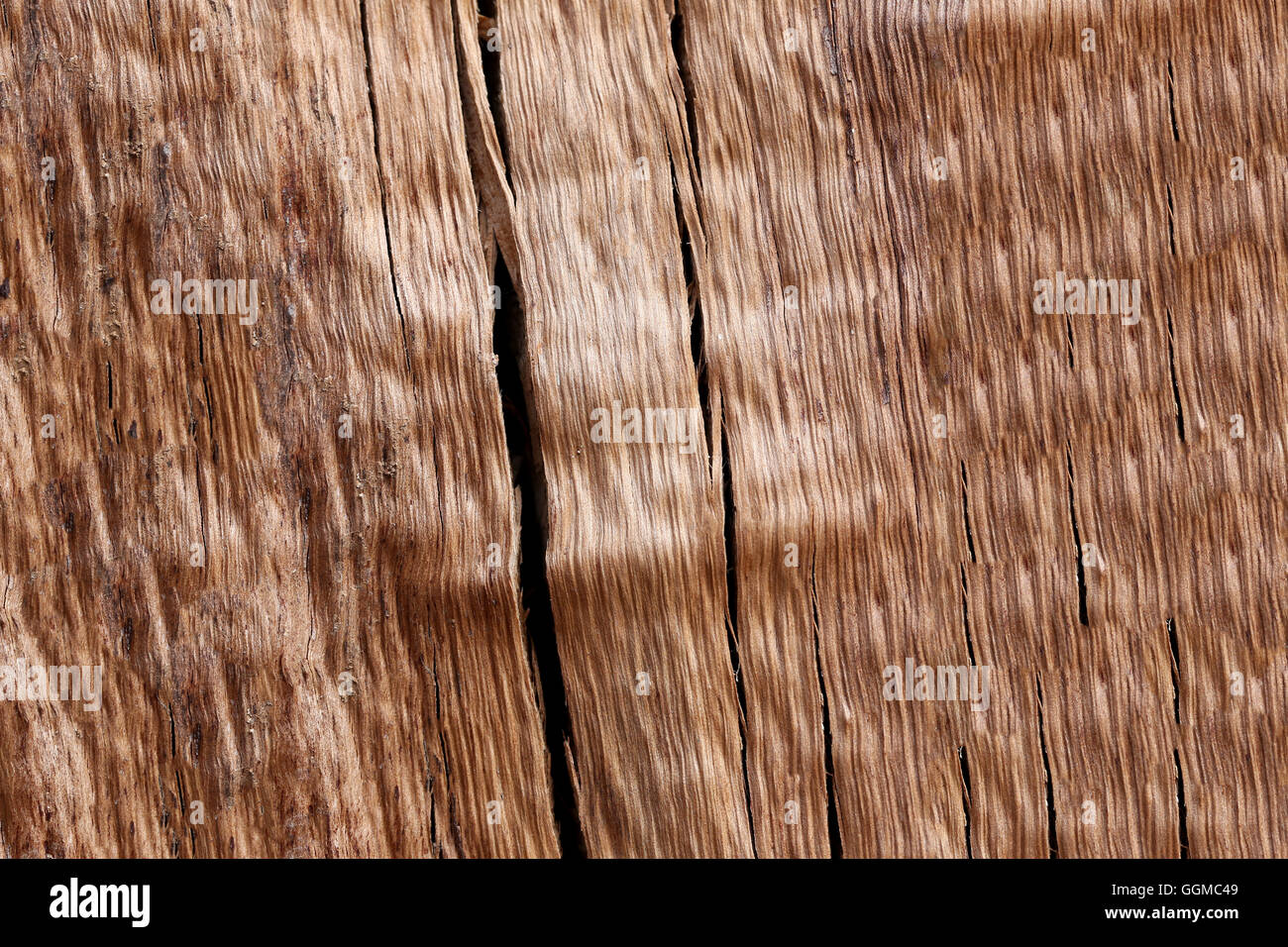 Old wood texture for the design background Stock Photo - Alamy