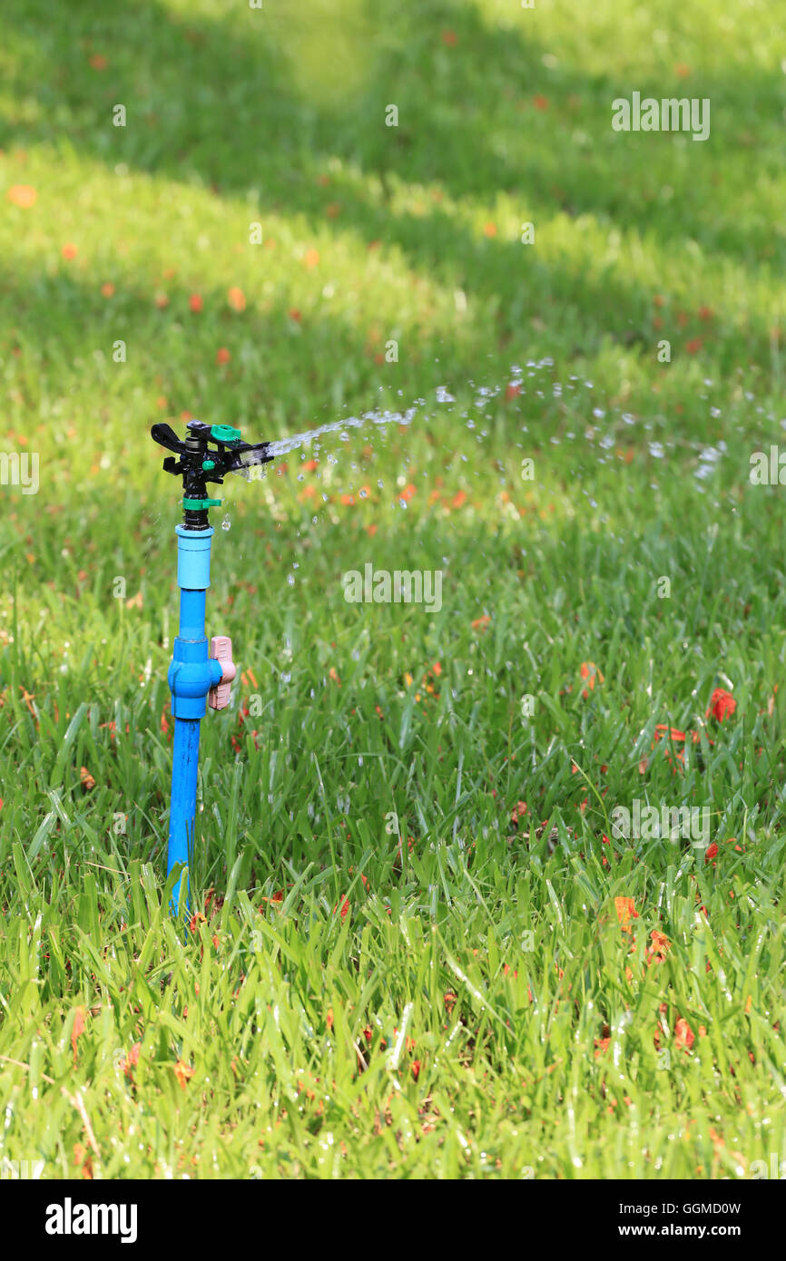 Springer water hi-res stock photography and images - Alamy