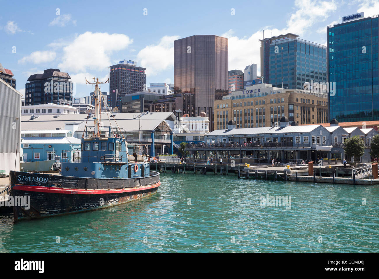 Wellington People New Zealand Stock Photos & Wellington People New ...