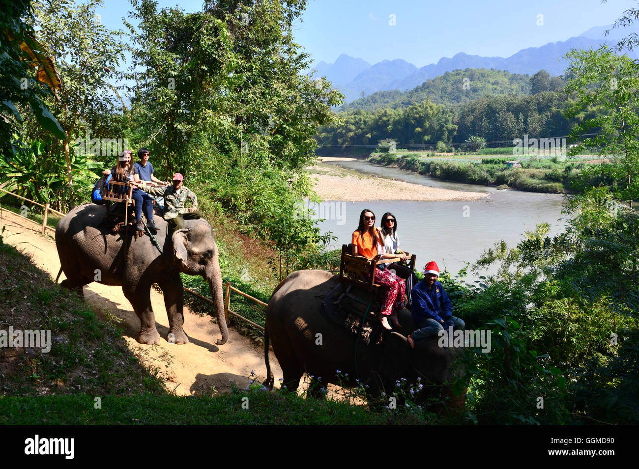 Elephant village in Bang Xang near Luang Prabang, Laos, Asia Stock ...