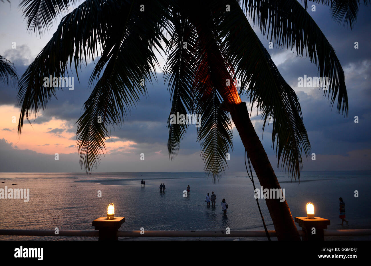 Palm tree at sunset in ban nathon hi-res stock photography and images ...