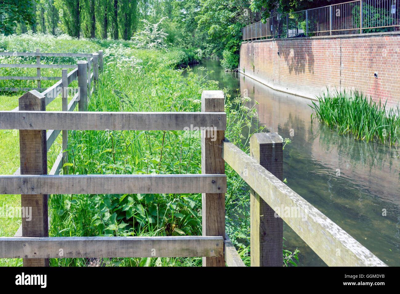 Waverley surrey walk hi-res stock photography and images - Alamy