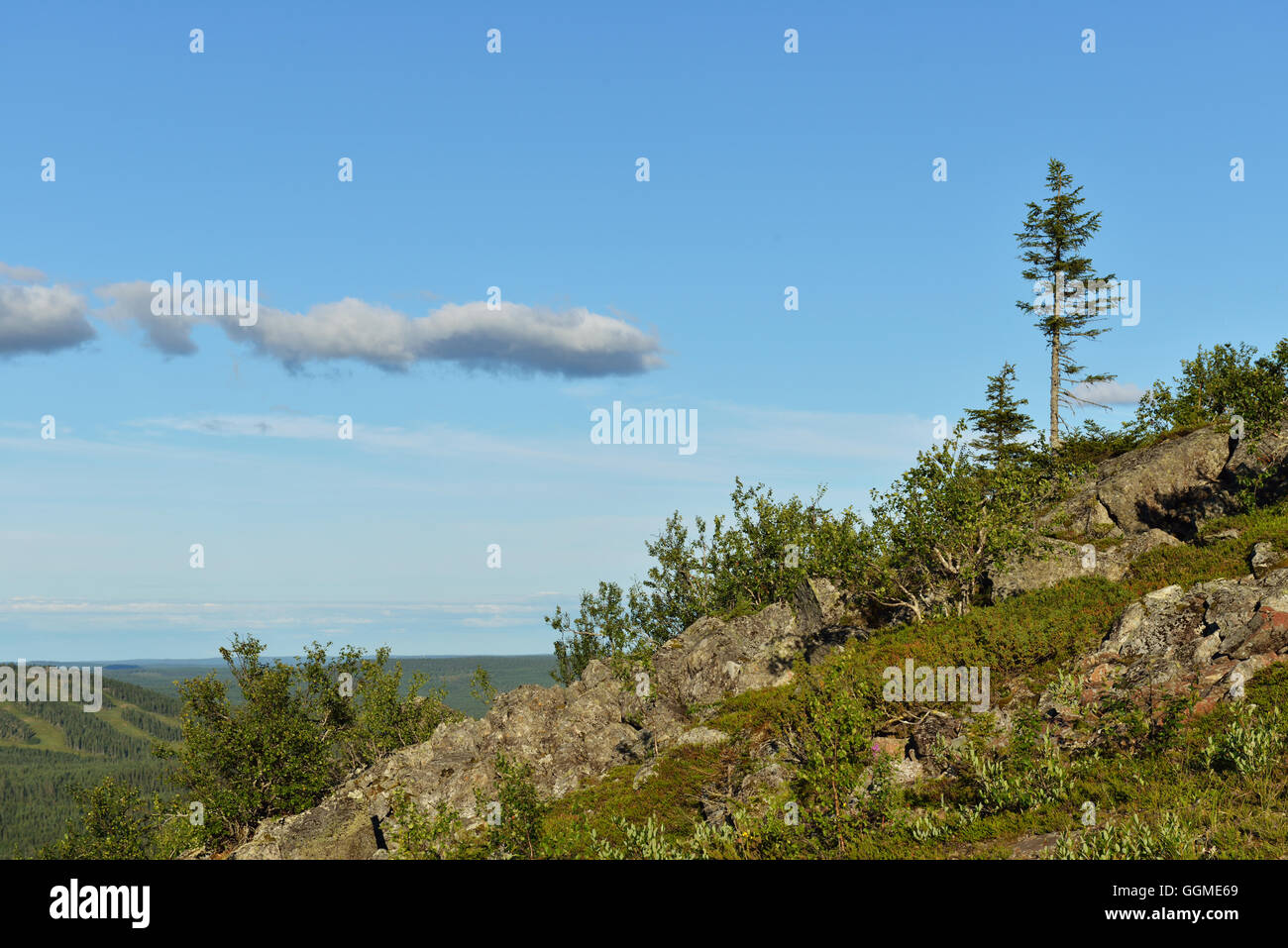 Syote national finland hi-res stock photography and images - Alamy