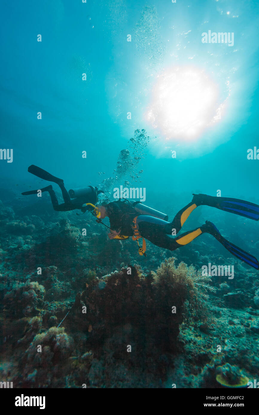 Divers at the bottom hi-res stock photography and images - Alamy