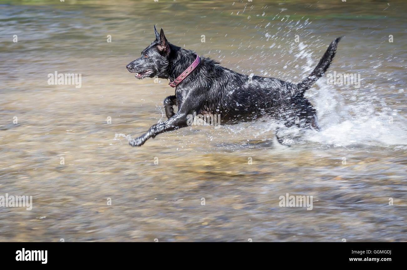 Happy damp hi-res stock photography and images - Alamy