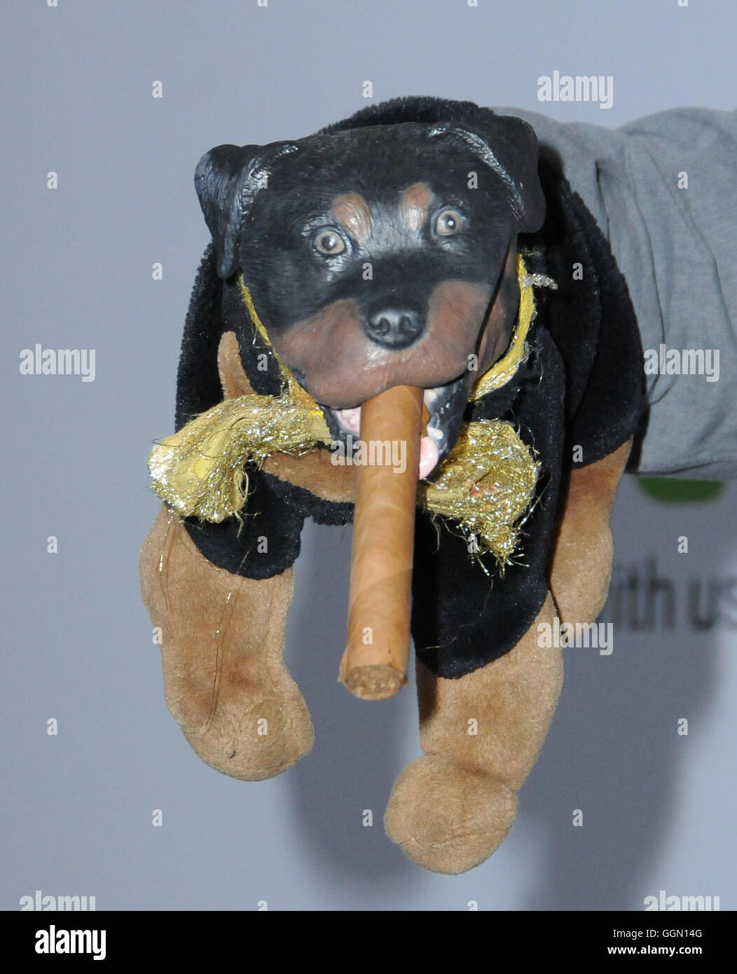 Beverly Hills, CA, USA. 5th Aug, 2016. 05 August 2016 - Beverly Hills ...