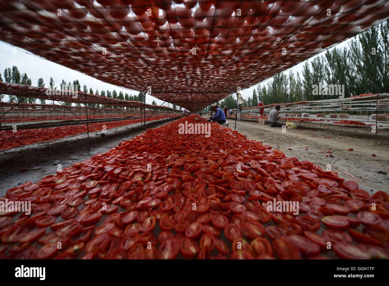Bayingolin prefecture hi-res stock photography and images - Alamy