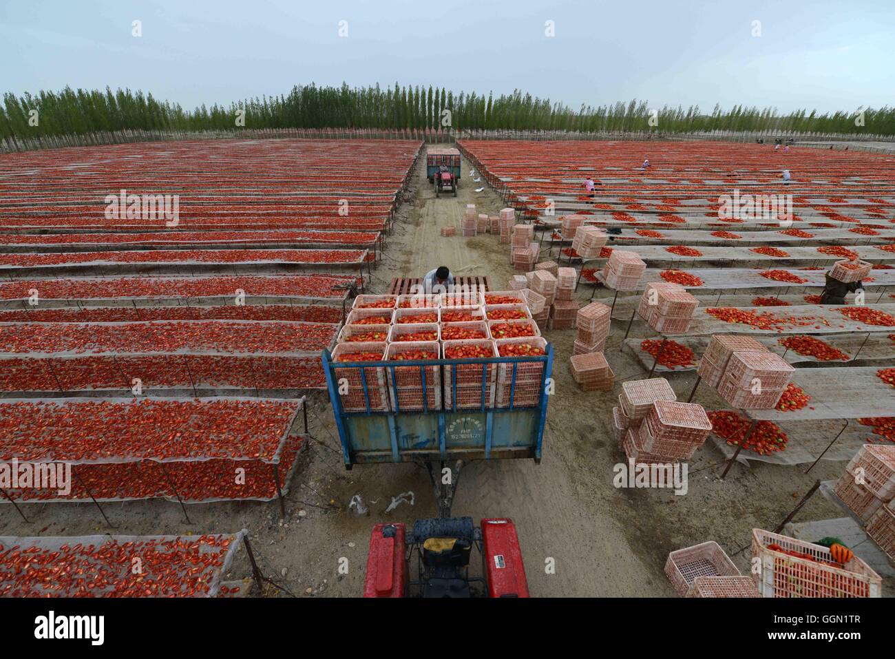 Bayingolin prefecture hi-res stock photography and images - Alamy