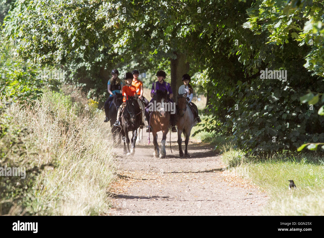 Wimbledon stables hi-res stock photography and images - Alamy