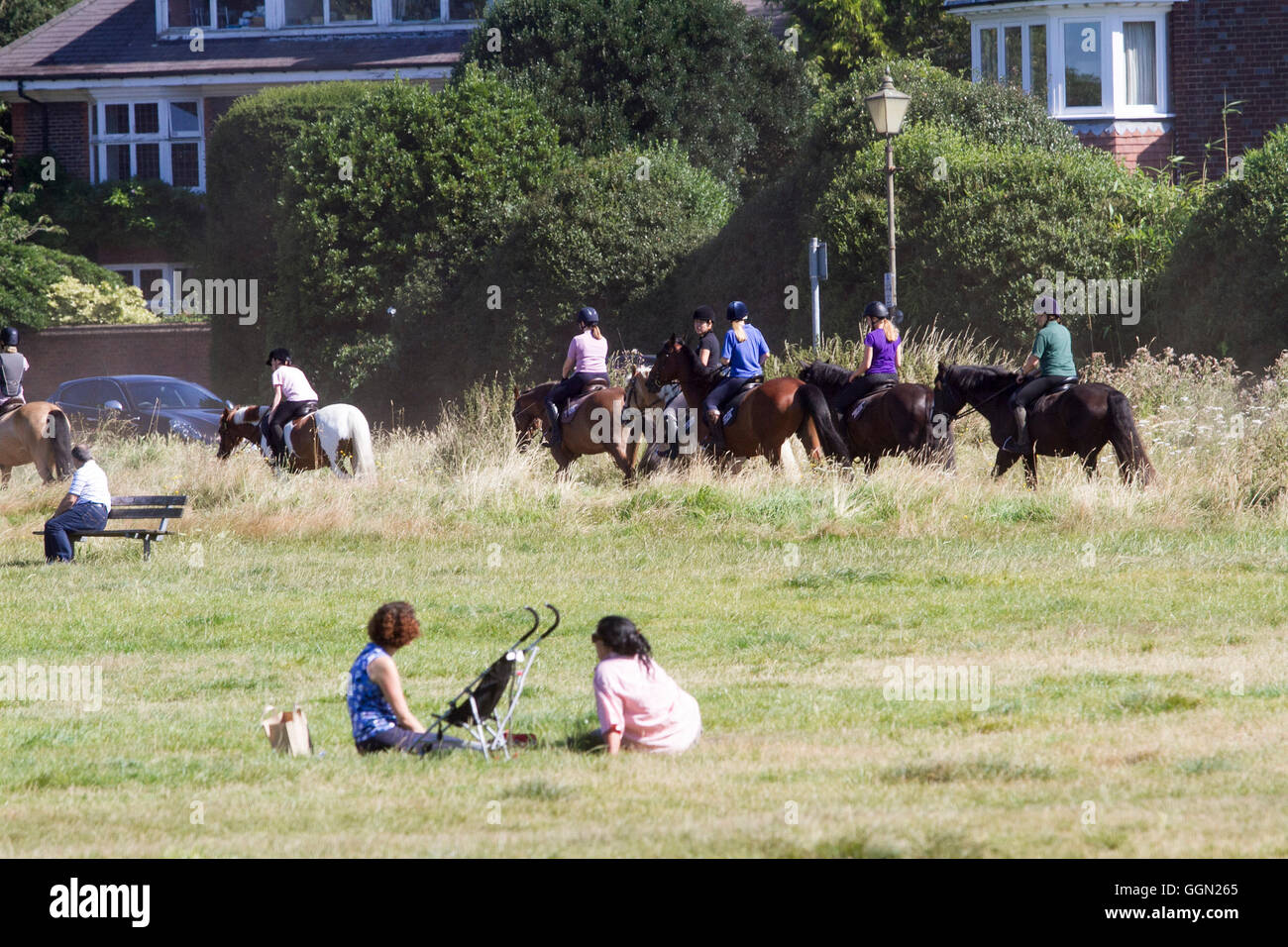 Wimbledon stables hi-res stock photography and images - Alamy