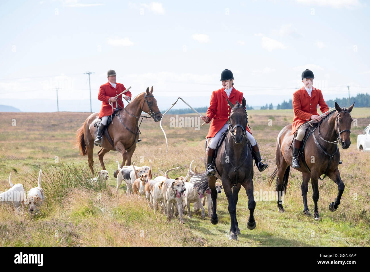 Lauder hunt hi-res stock photography and images - Alamy