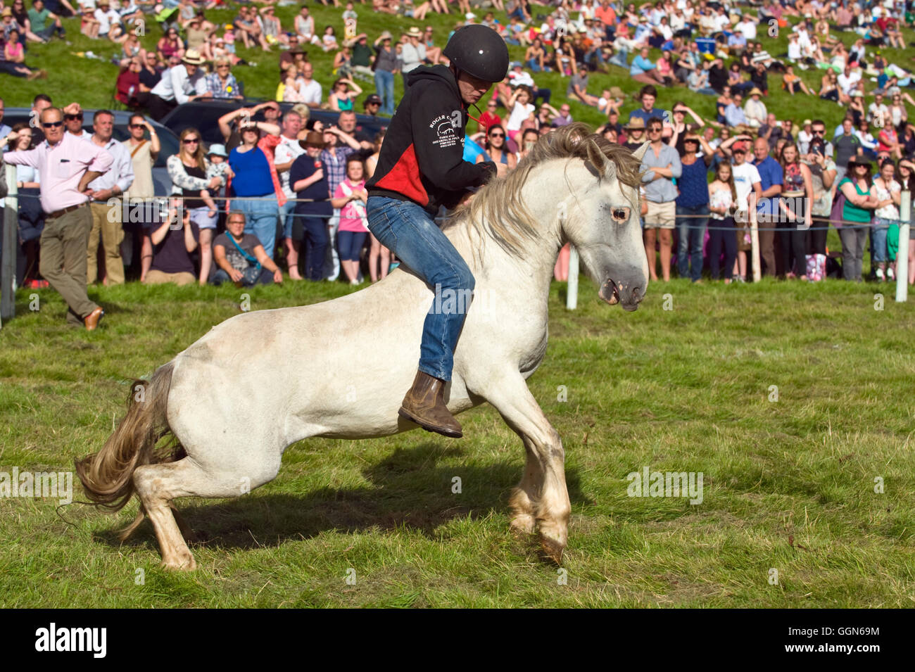 Llanthony show hi-res stock photography and images - Alamy