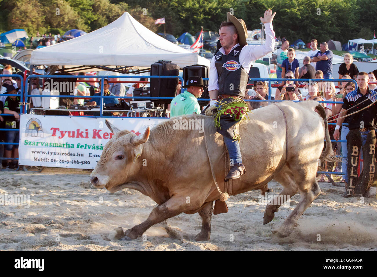 Komarom, Hungary. 6th Aug, 2016. Hungary's Gabor Simonyi competes on a ...