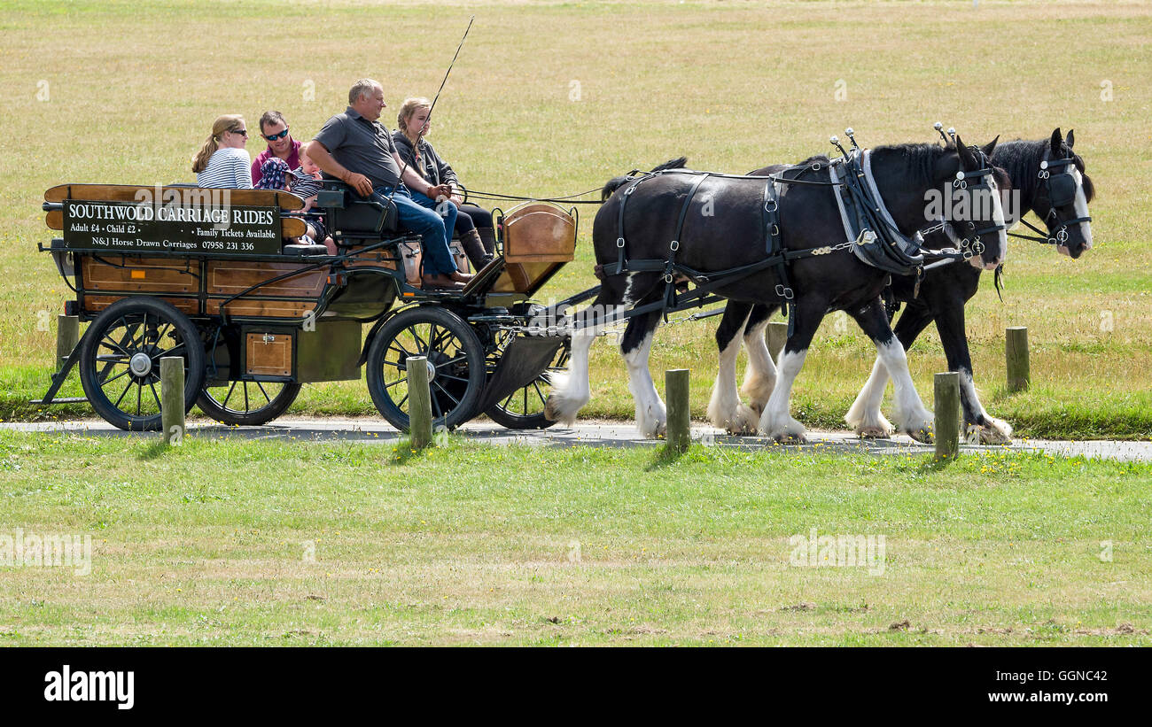 Shire horse ride hi-res stock photography and images - Alamy
