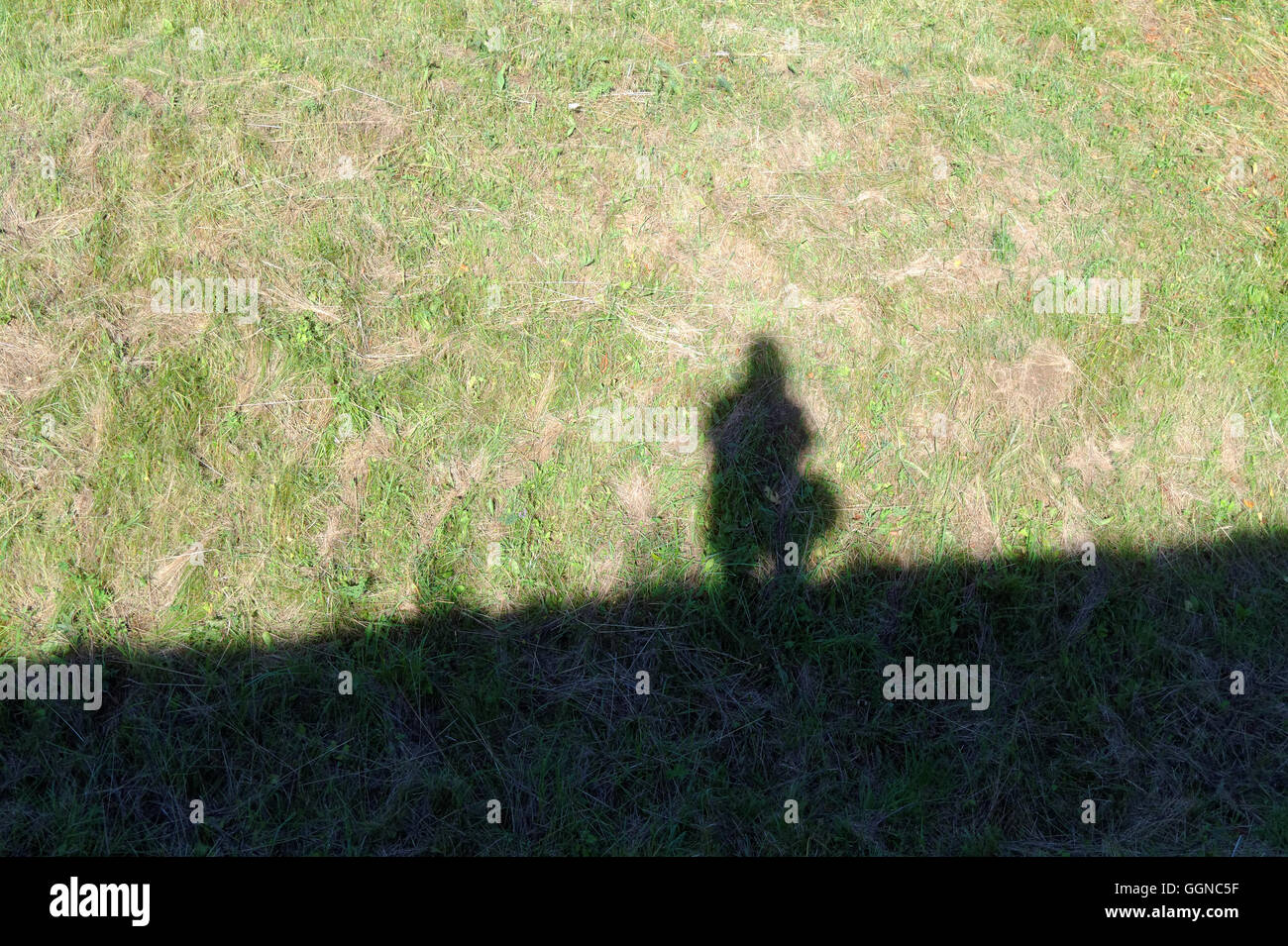 Man grass sunlight hi-res stock photography and images - Alamy