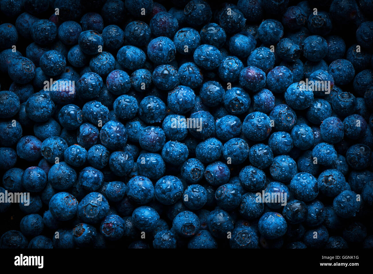 Pile of fresh wet blueberries Stock Photo - Alamy