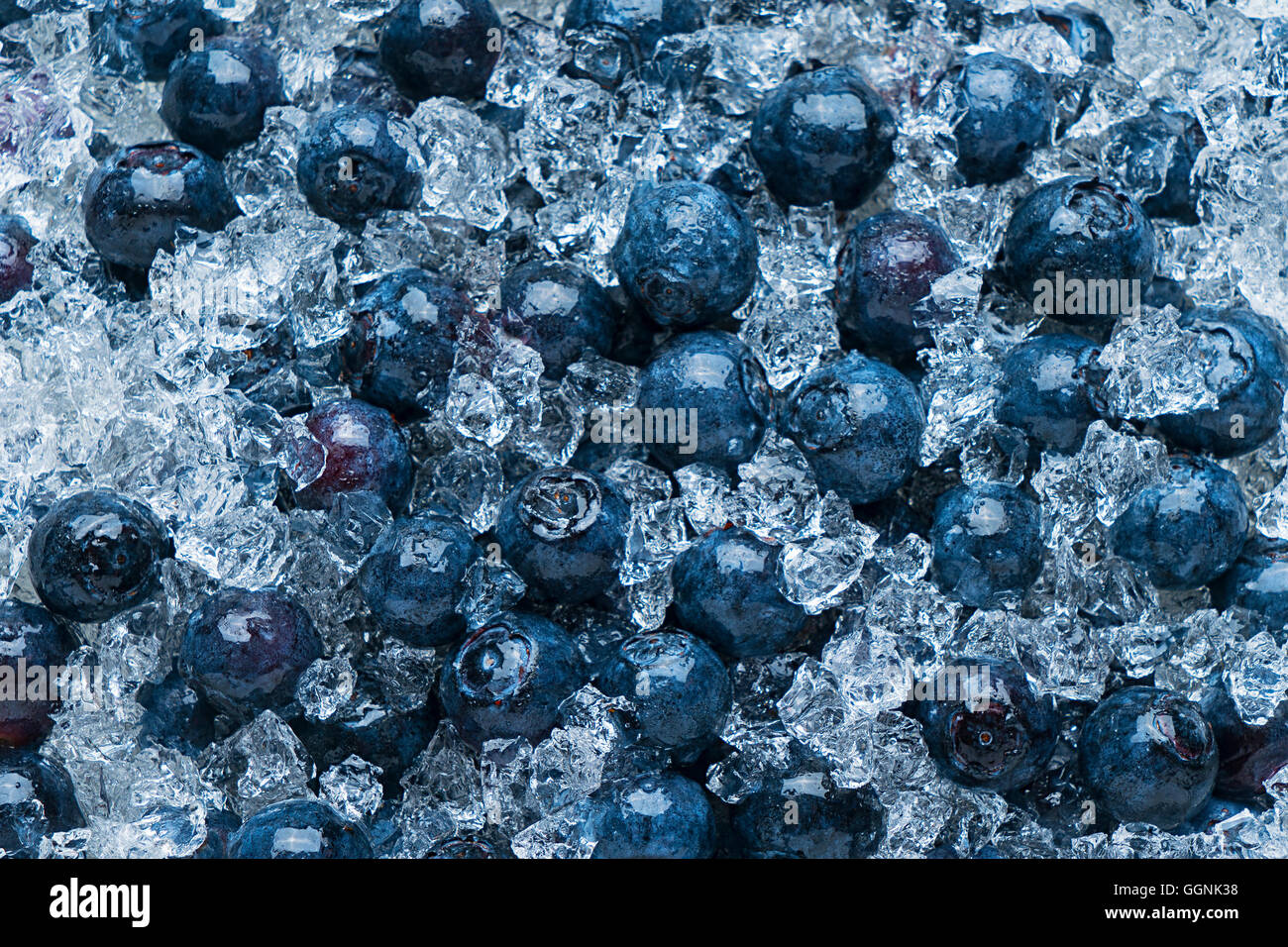 Blueberries on ice Stock Photo - Alamy