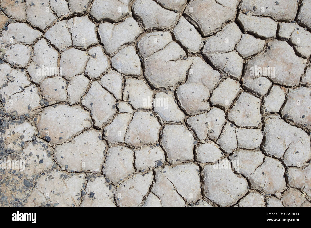 Drought cracked mud. USA Stock Photo - Alamy