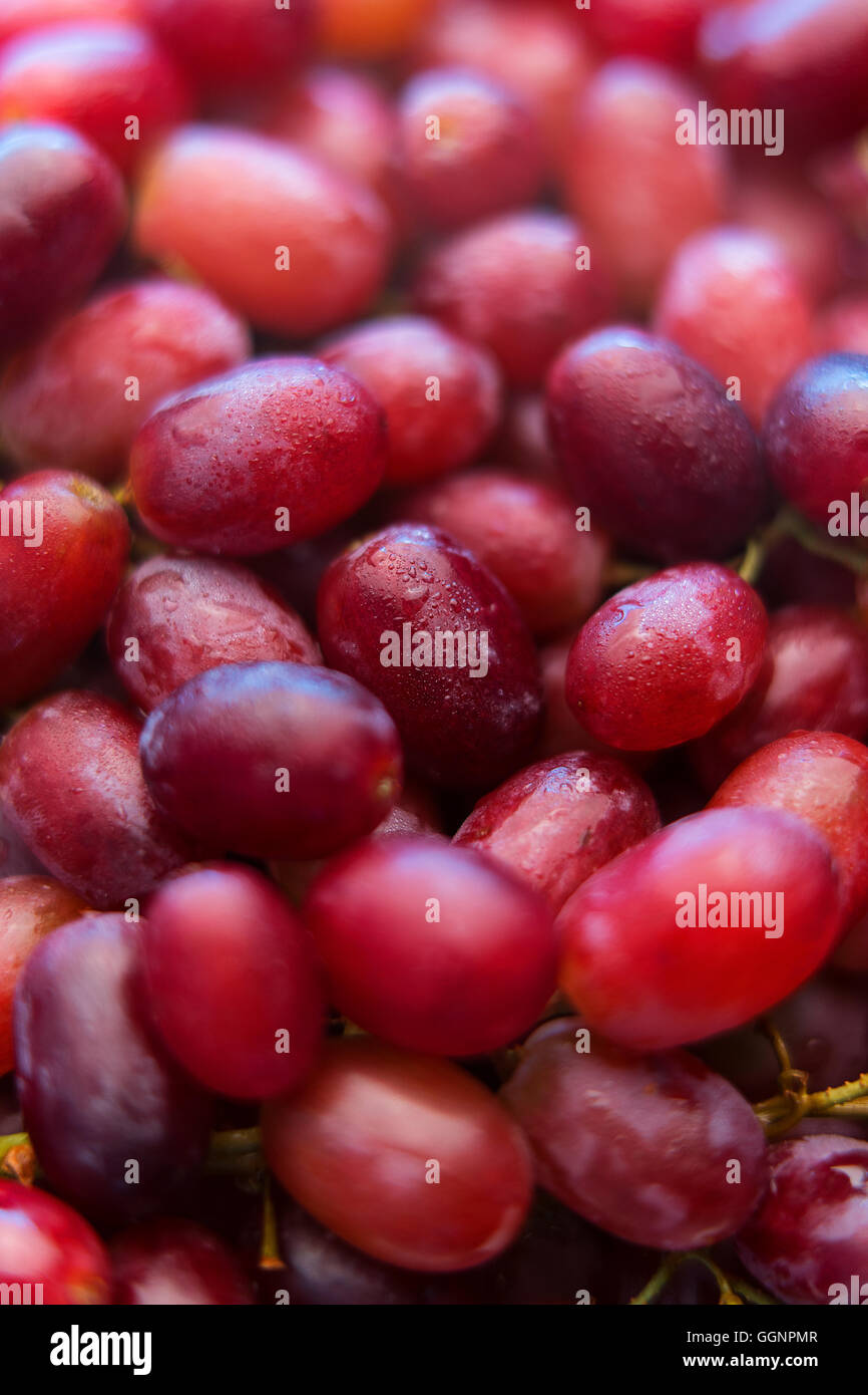 Pile of fresh wet purple grapes Stock Photo - Alamy