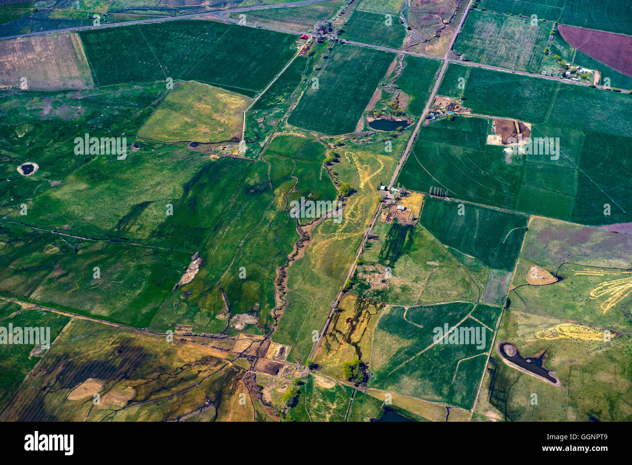Aerial view of green farmland plots, Cedarville, California, United ...