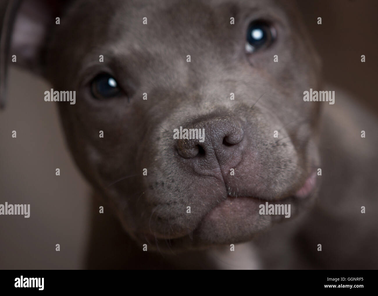 Studio environment hi-res stock photography and images - Alamy