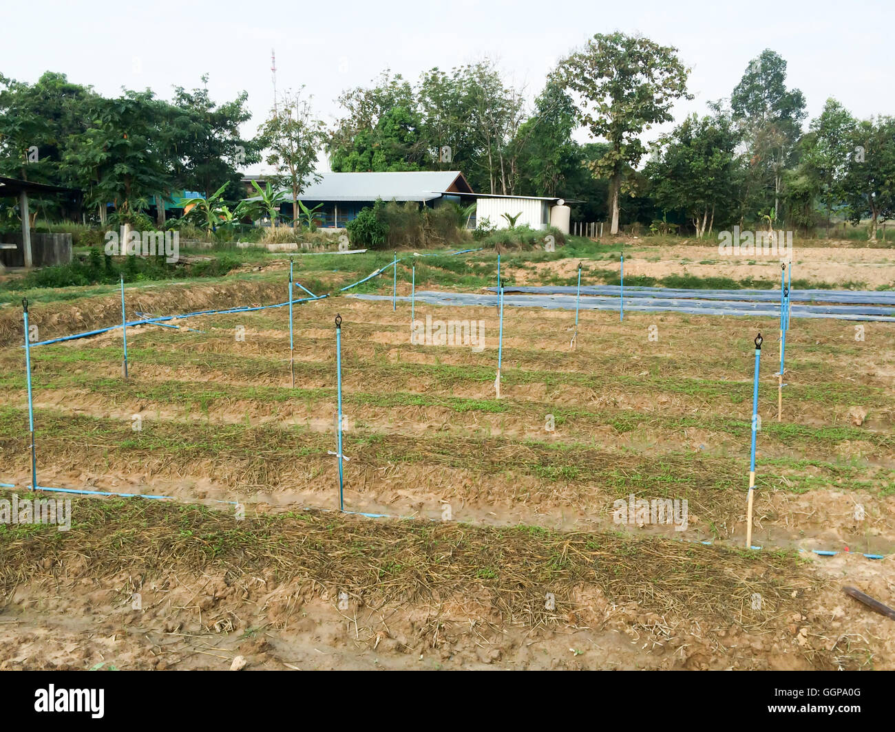 Turf installation hi-res stock photography and images - Alamy