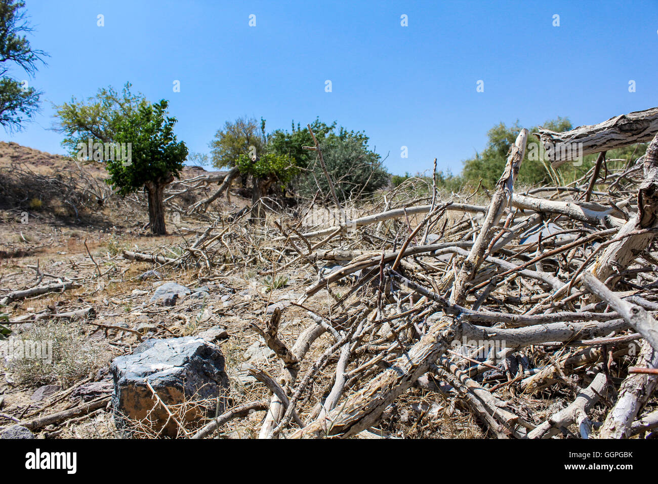 Depth stick hi-res stock photography and images - Alamy