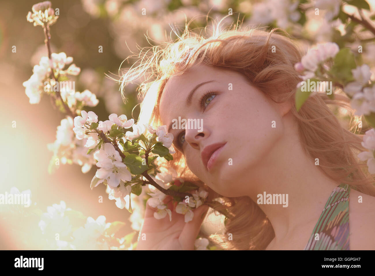 Woman standing at tree hi-res stock photography and images - Alamy