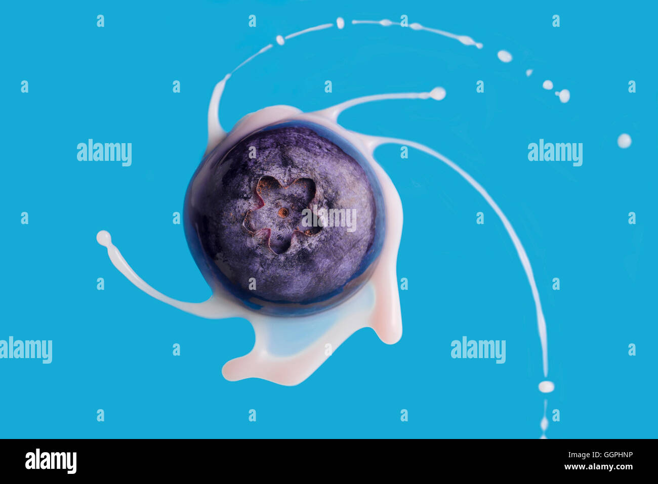 Close up of blueberry spinning with milk Stock Photo - Alamy