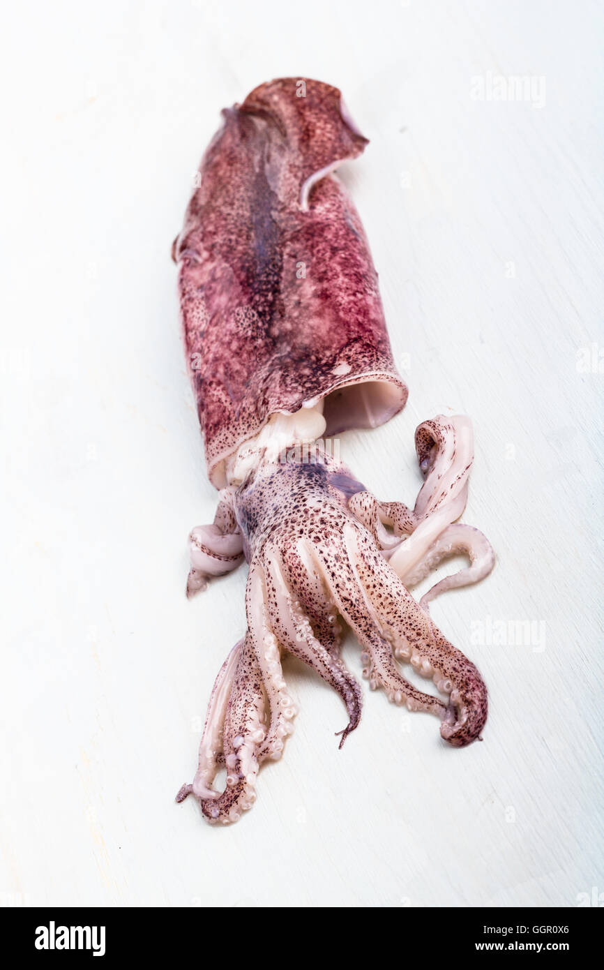 Fresh squid raw sea hi-res stock photography and images - Alamy