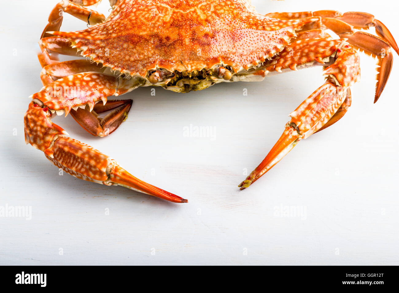Closeup of isolated steamed blue crab Stock Photo - Alamy