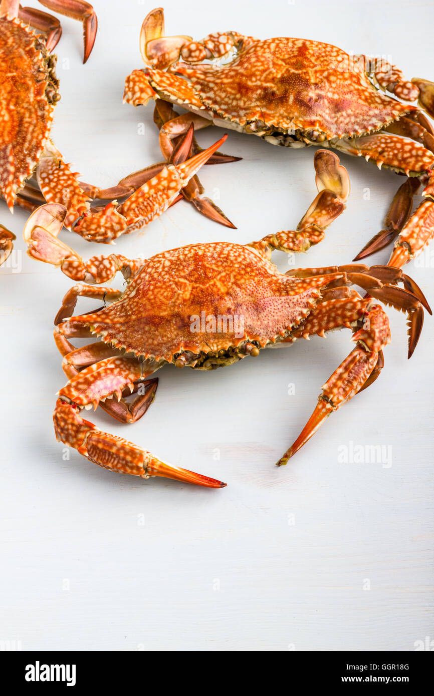 Closeup of isolated steamed blue crab Stock Photo - Alamy