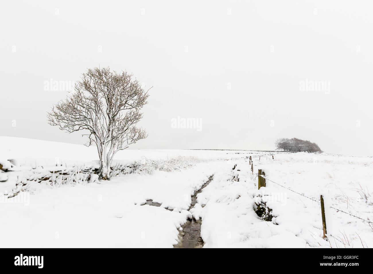 Countryside with snow in winter Yorkshire UK Stock Photo - Alamy