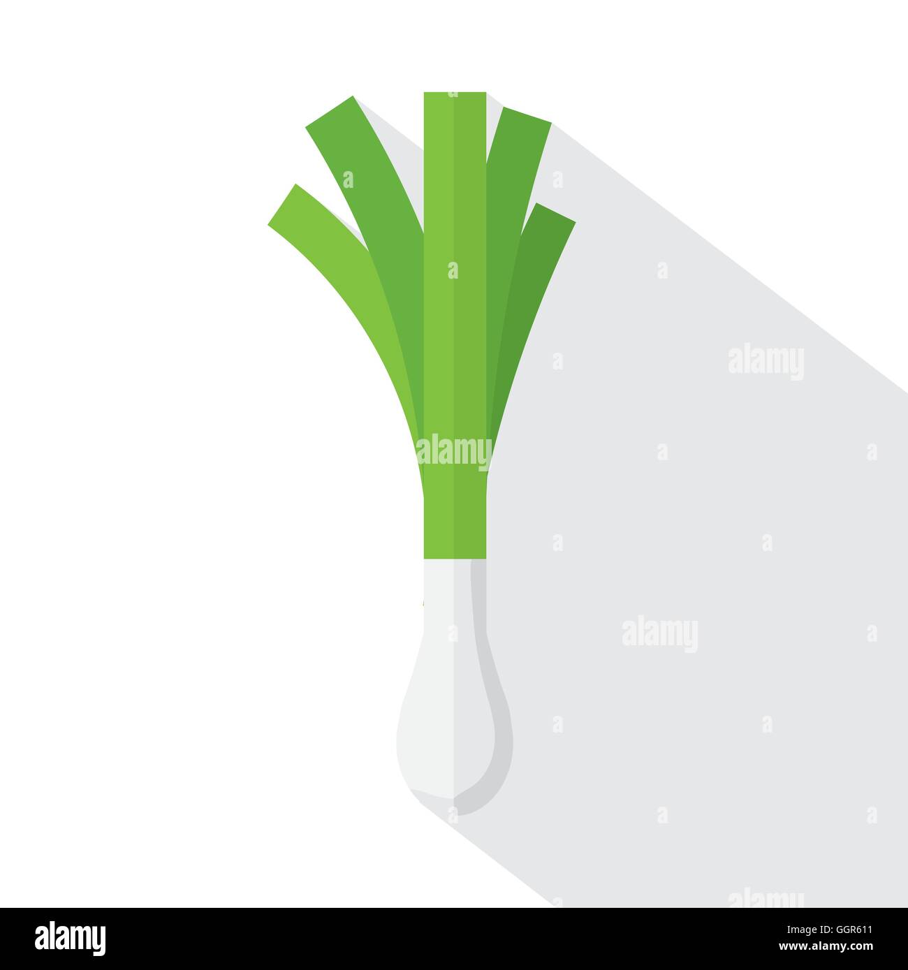White background leeks Stock Vector Images - Alamy