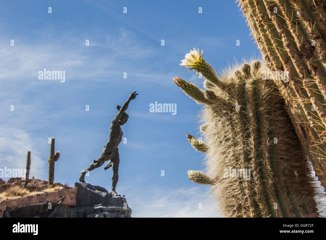 Statue reaching out for a cactus in Humahuaca, Argentina Stock Photo ...