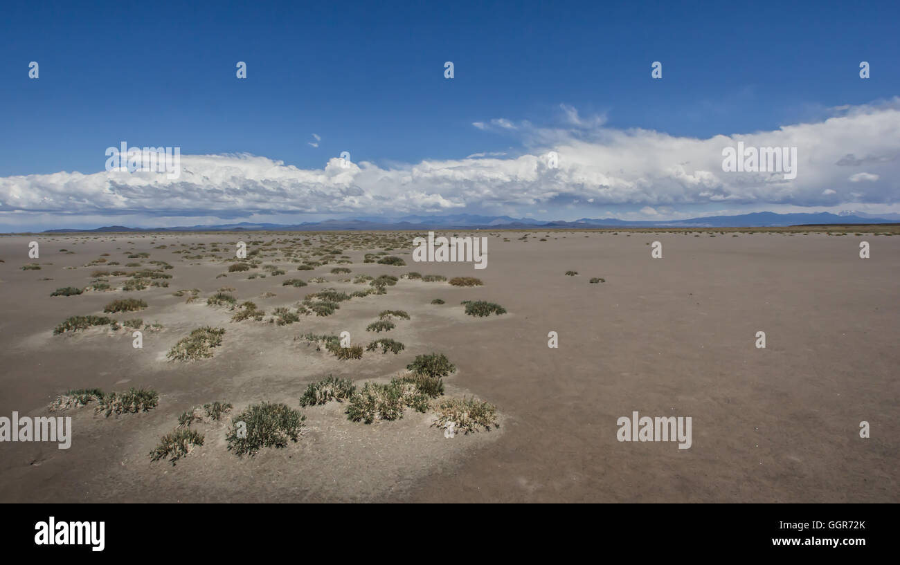 Plain sand hi-res stock photography and images - Alamy