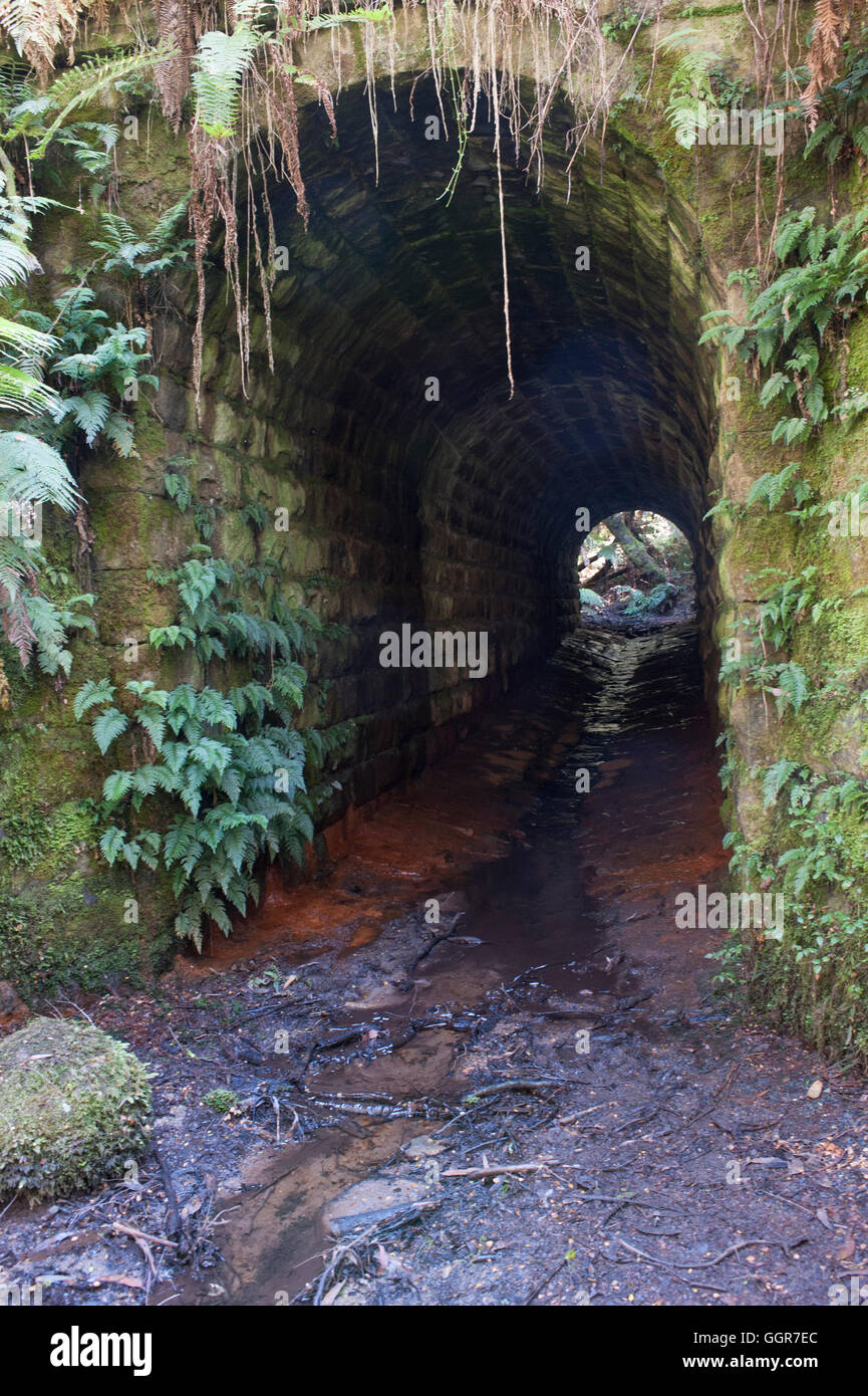 Yarra ranges hi-res stock photography and images - Alamy