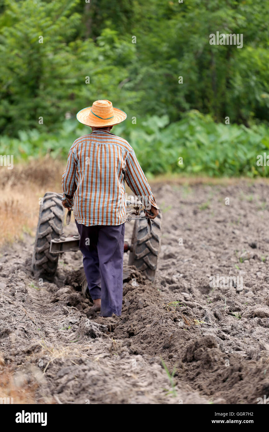 Farmers is working control pushcart to recondition soil crop for Rice ...
