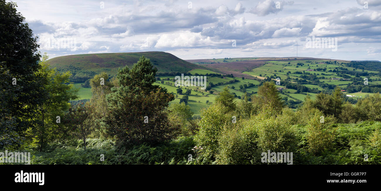 Bilsdale is a dale in the western part of the North York Moors in North ...