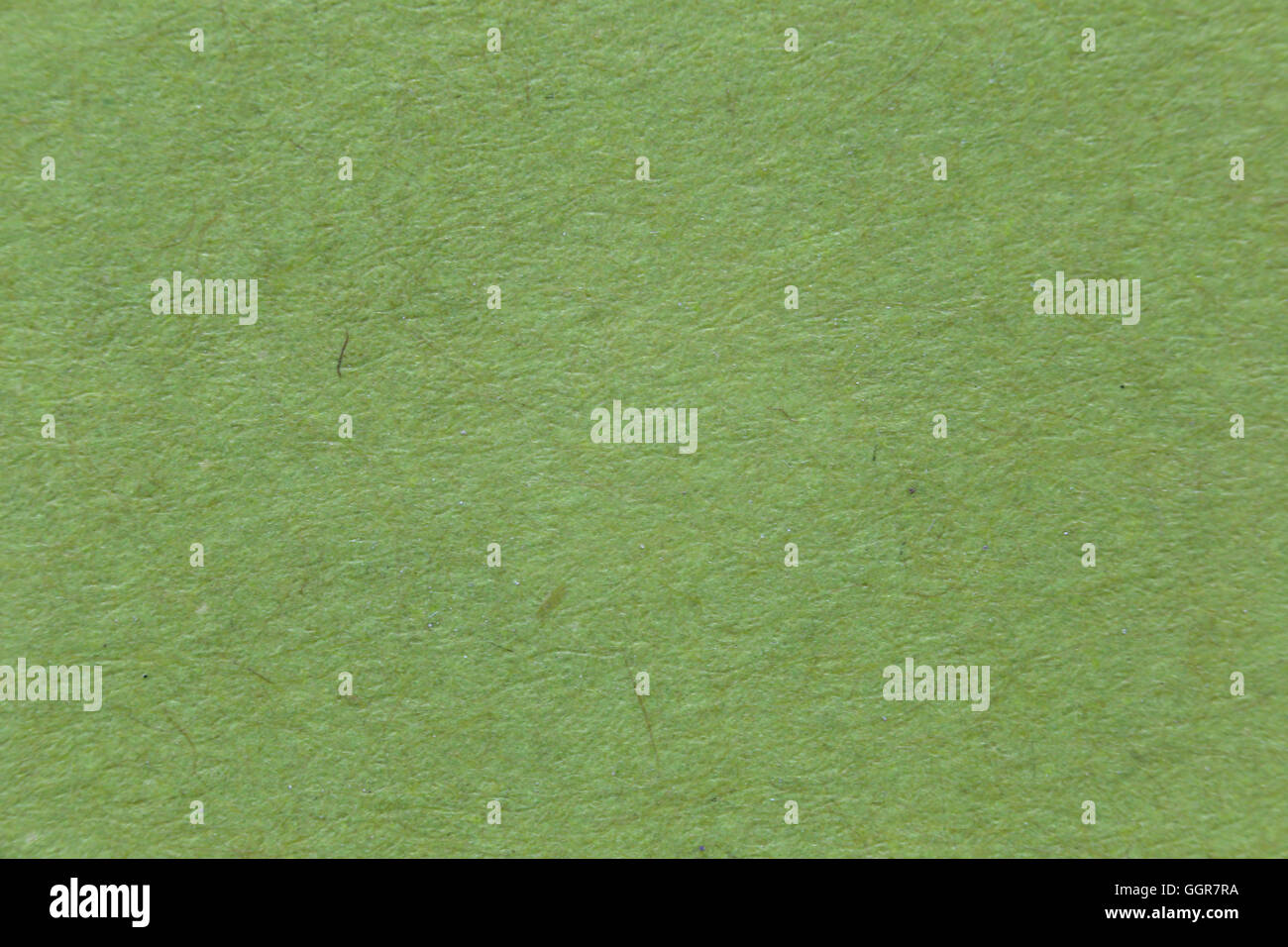 surface of green cardboard for the design Texture background Stock ...