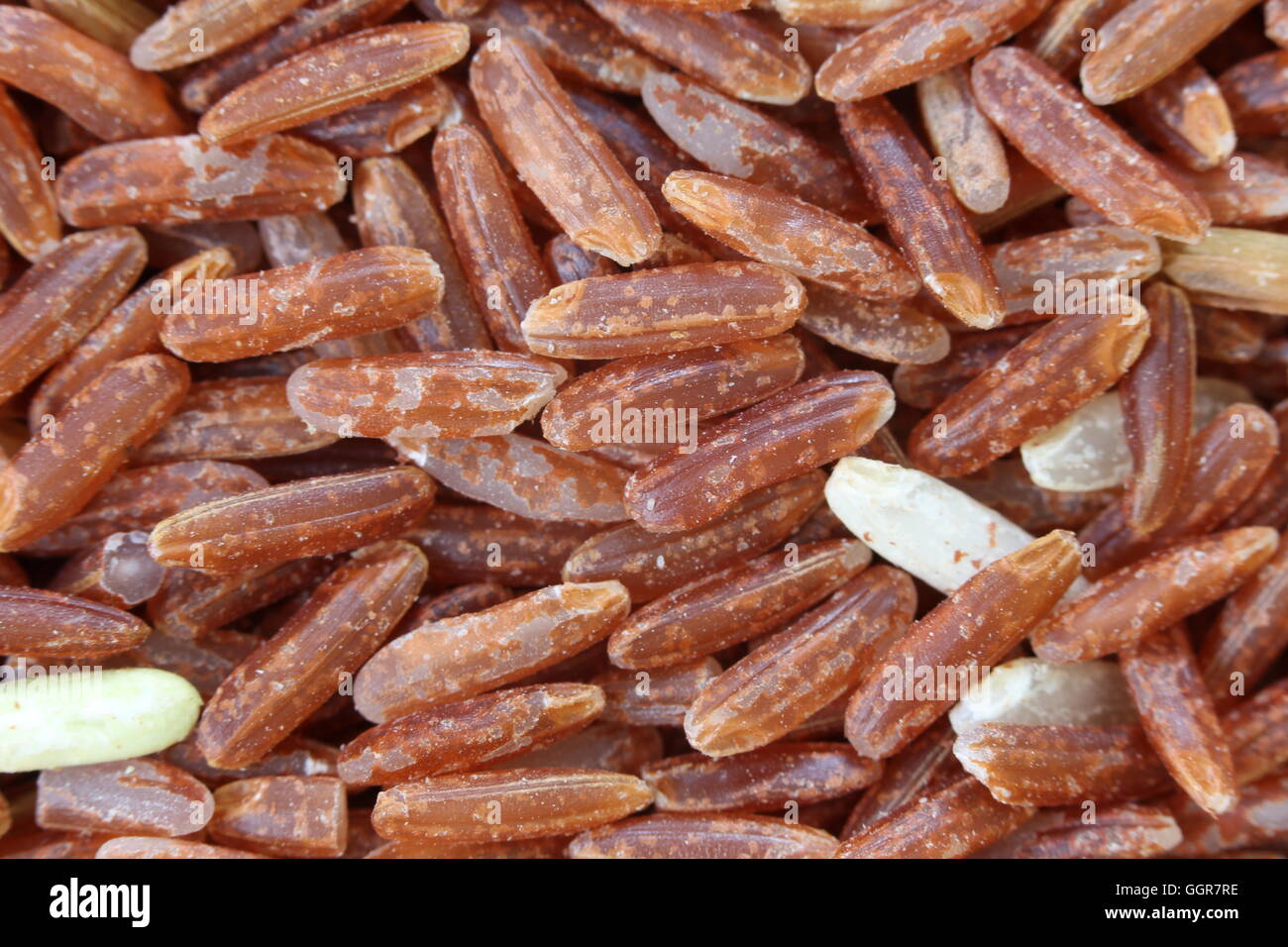 pile of organic brown rice for the nature food background,grain rice is ...