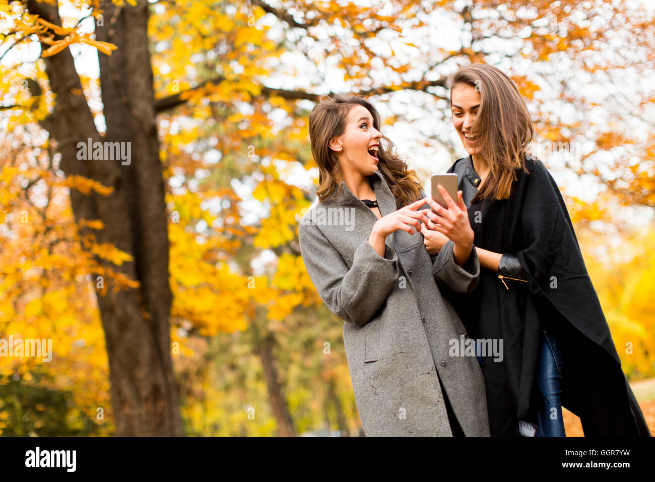 Young women with mobile phone in the autumn park Stock Photo - Alamy