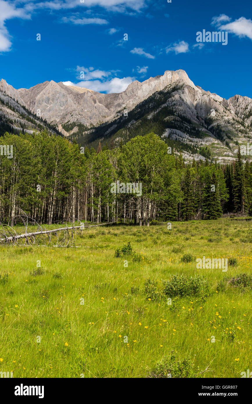 Scenic mountain landscape, Banff National Park, Alberta, Canada Stock ...