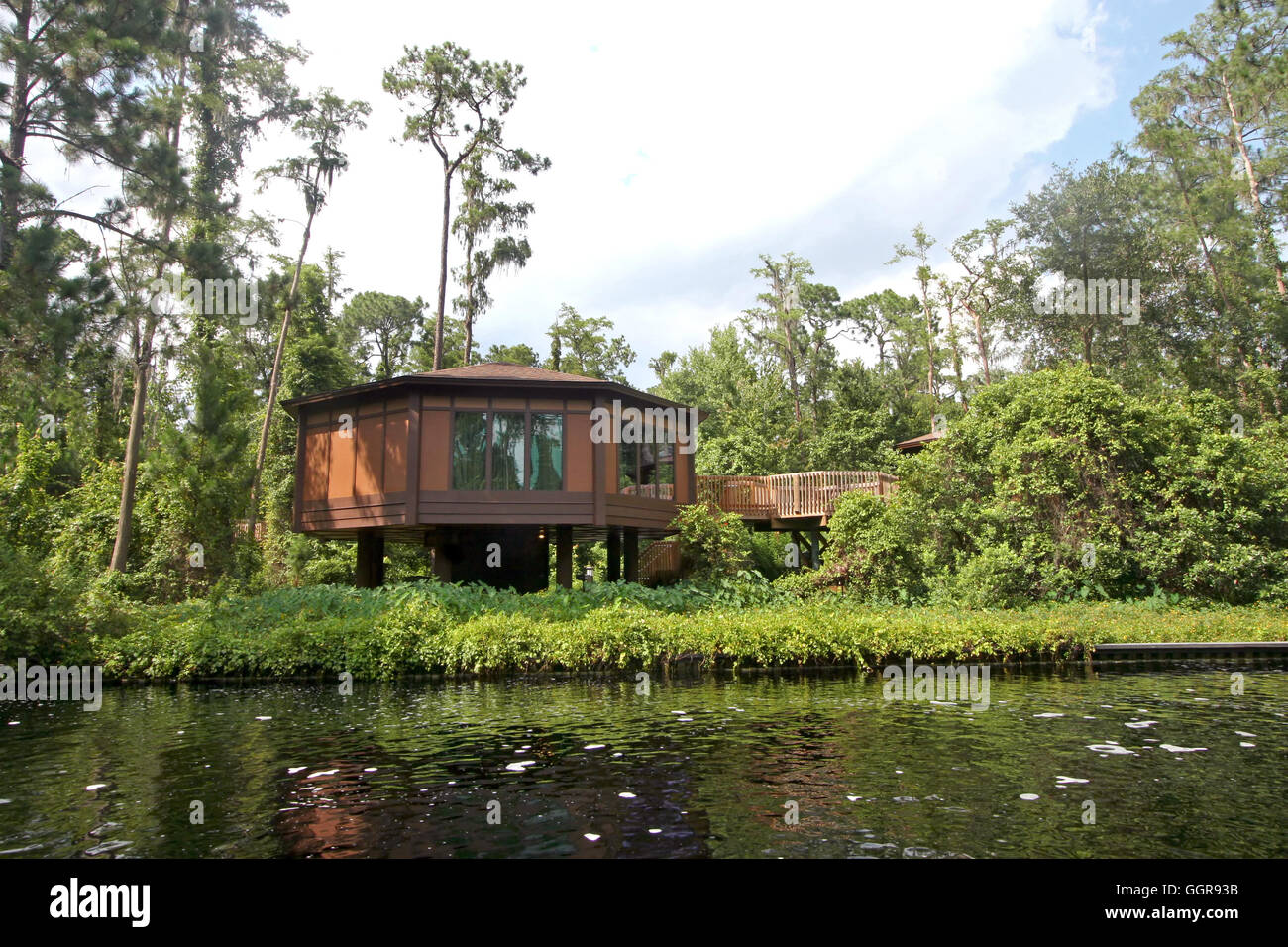 A treehouse in the forest next to a river Stock Photo - Alamy
